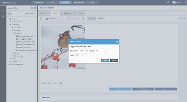 5 Key Digital Asset Management Features in Ingeniux CMS 10 | Ingeniux